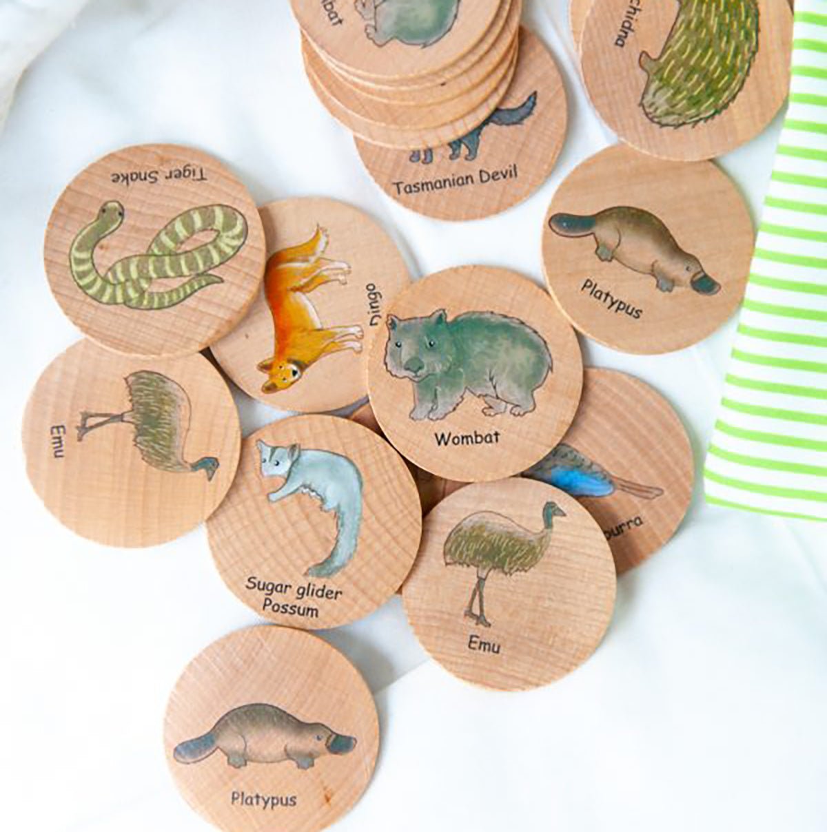 Australian Animals Matching Pairs | Freckled Frog - Lucas loves cars