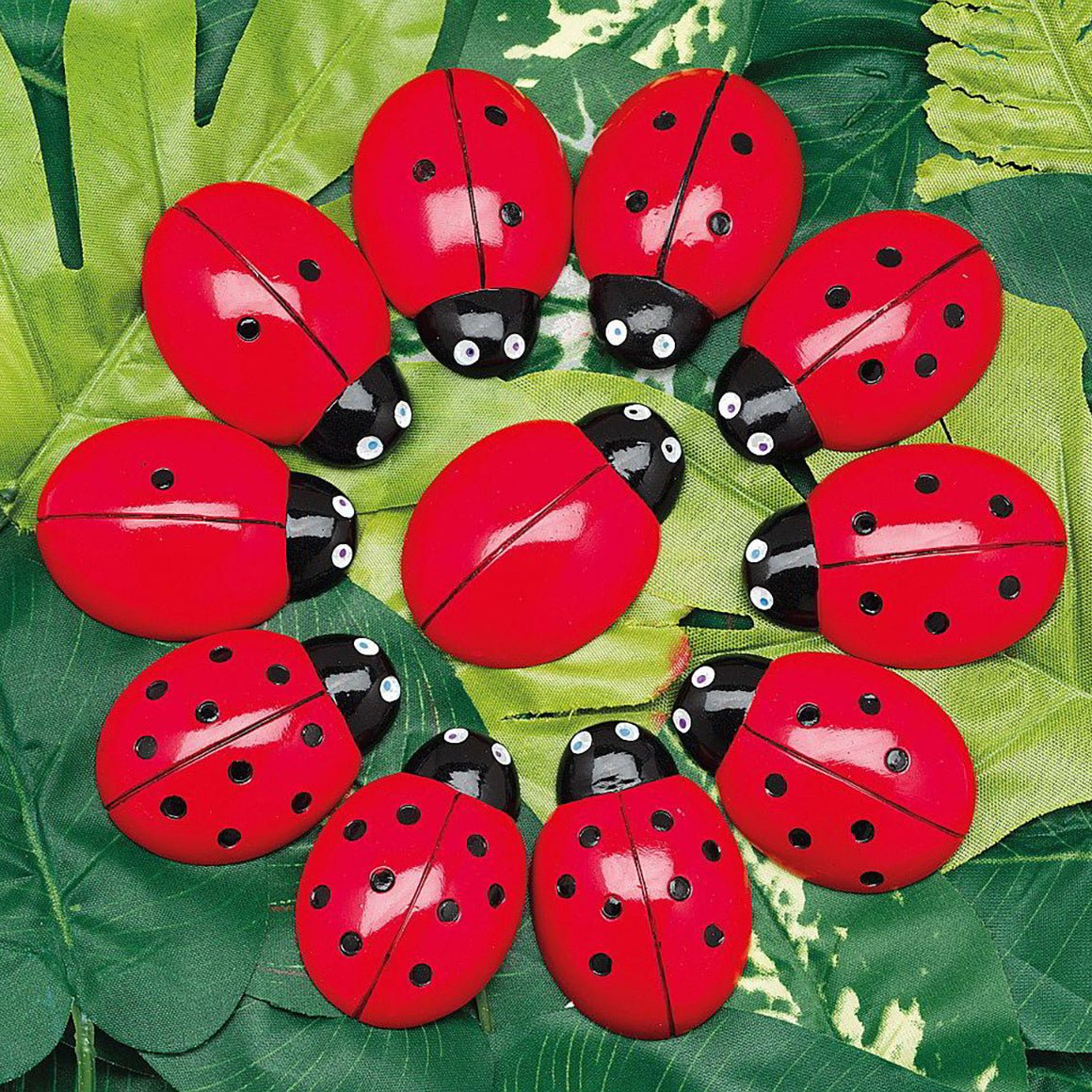 Ladybug Counting Stones | Yellow Door – Lucas loves cars