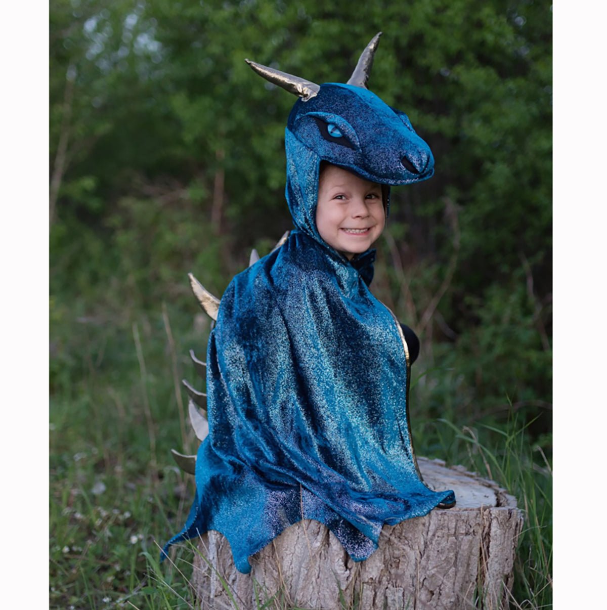 Starry Night Blue Dragon Costume – Lucas loves cars