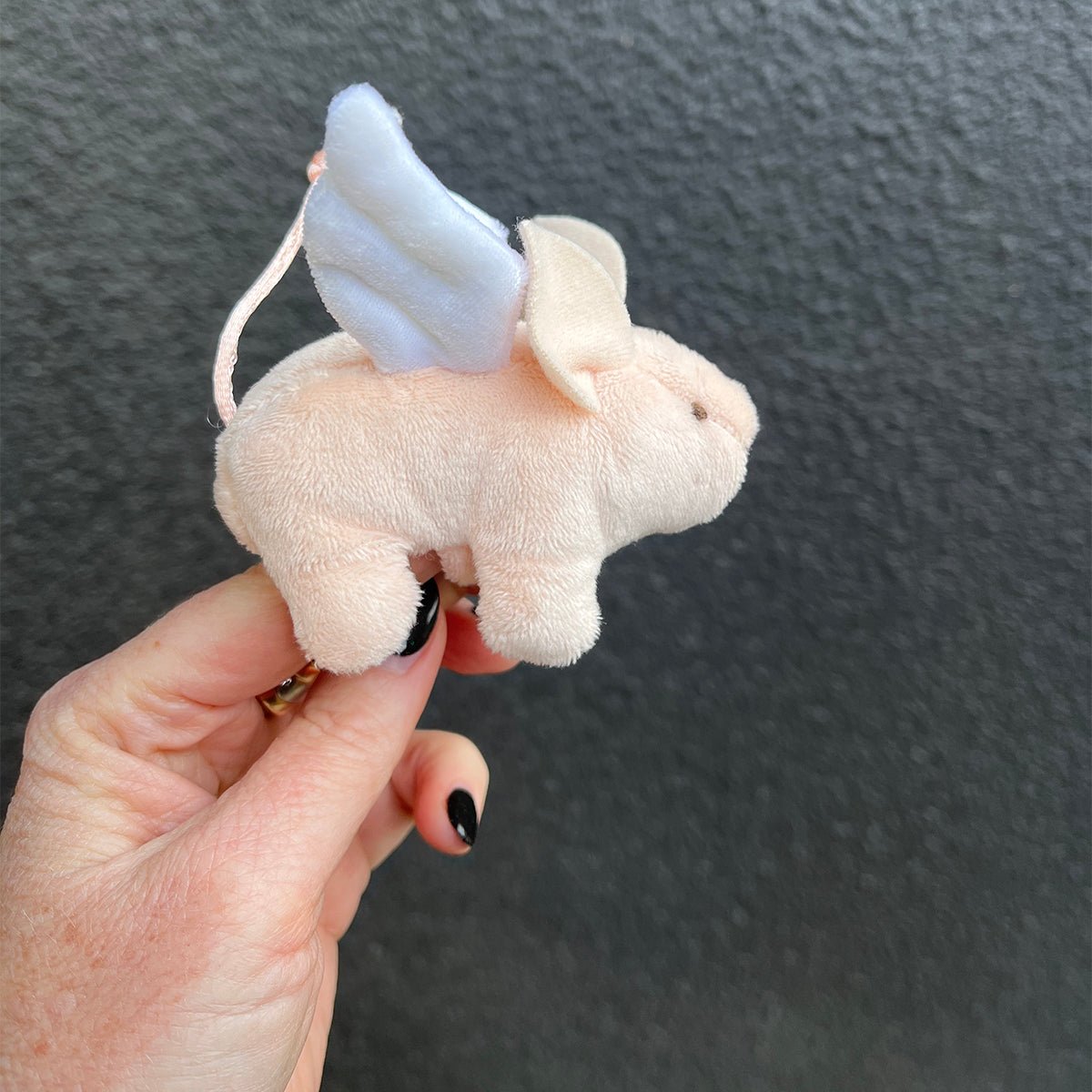 Finger Puppet | Flying pig toy – Lucas loves cars