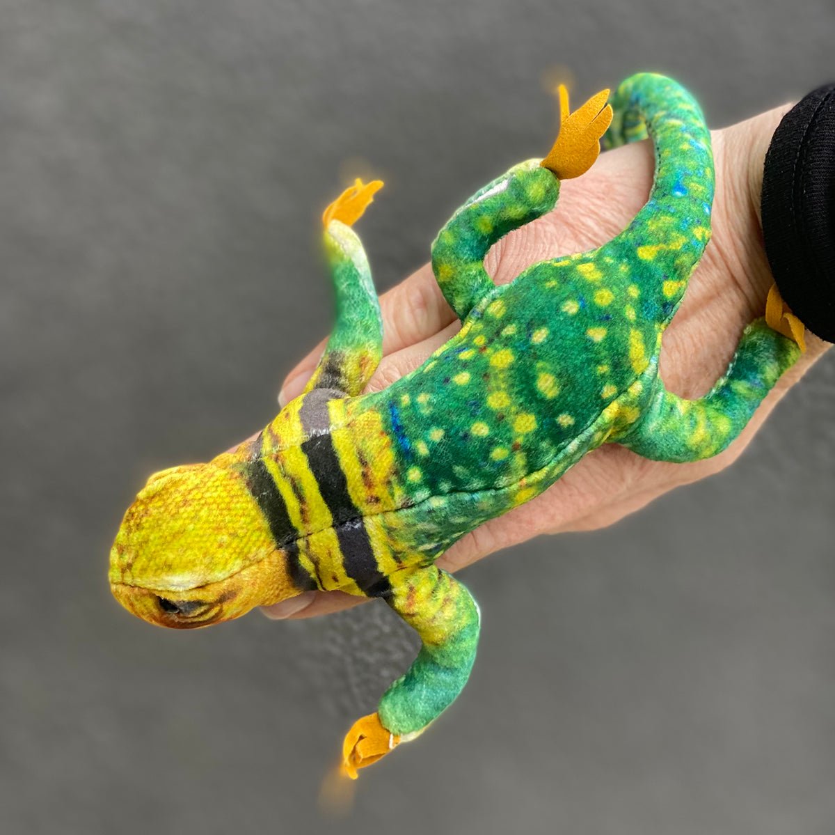Finger Puppet | Lizard finger puppet – Lucas loves cars