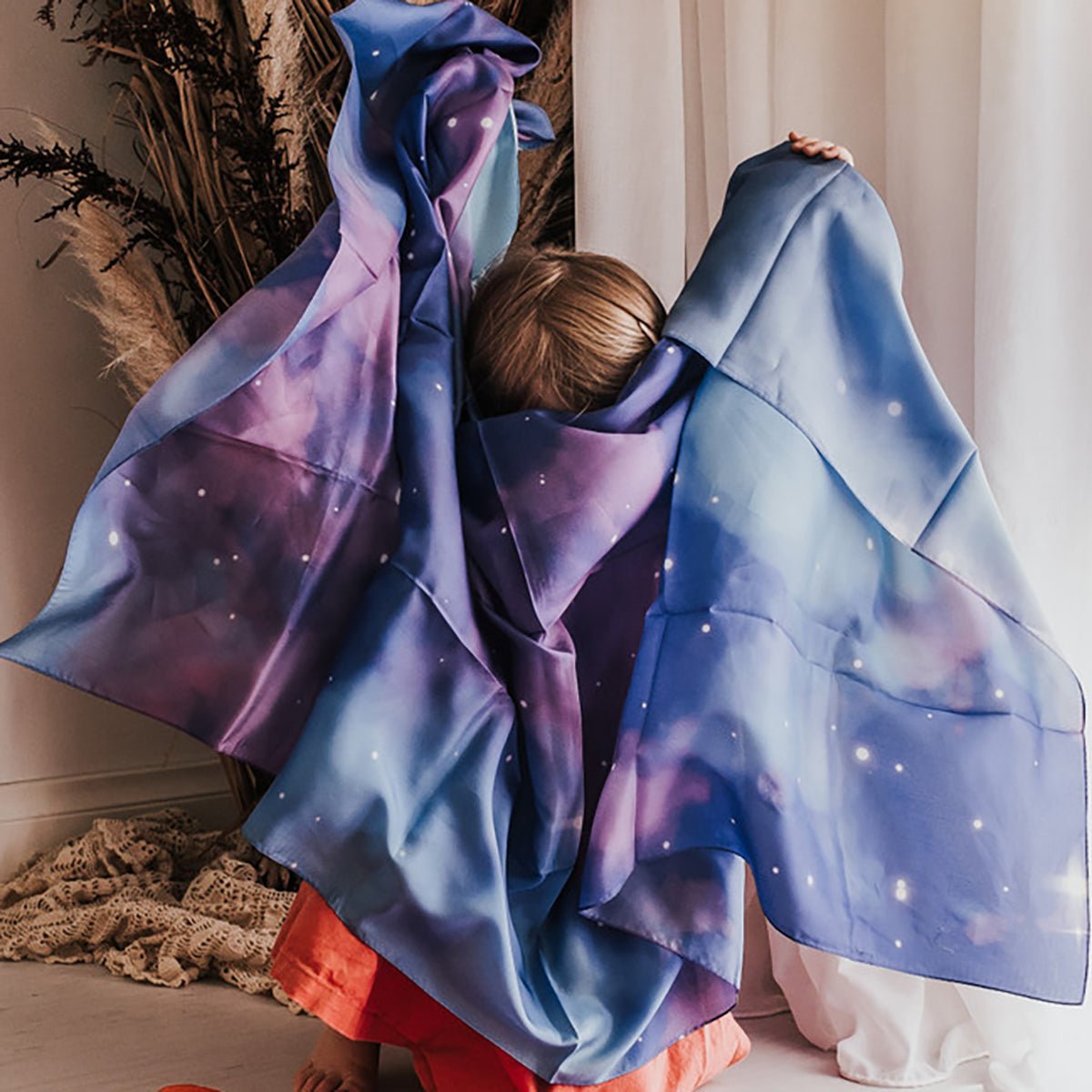 Play Silkies Jumbo Galaxy Silk – Lucas loves cars